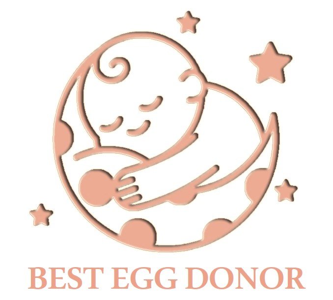 Egg Donation Procedure: Step-by-Step Process Explained - Best Egg Donor